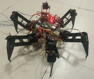 Hexapod - IvLabs