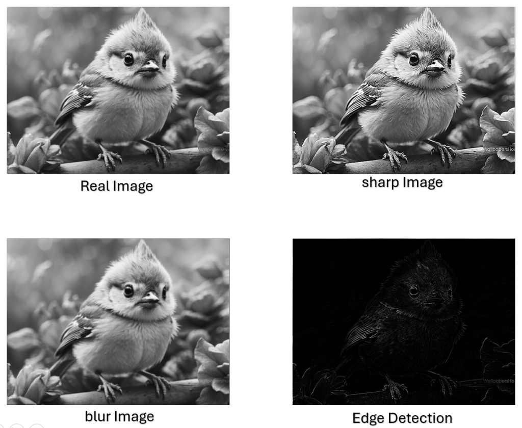 Image Processing FPGA – IvLabs